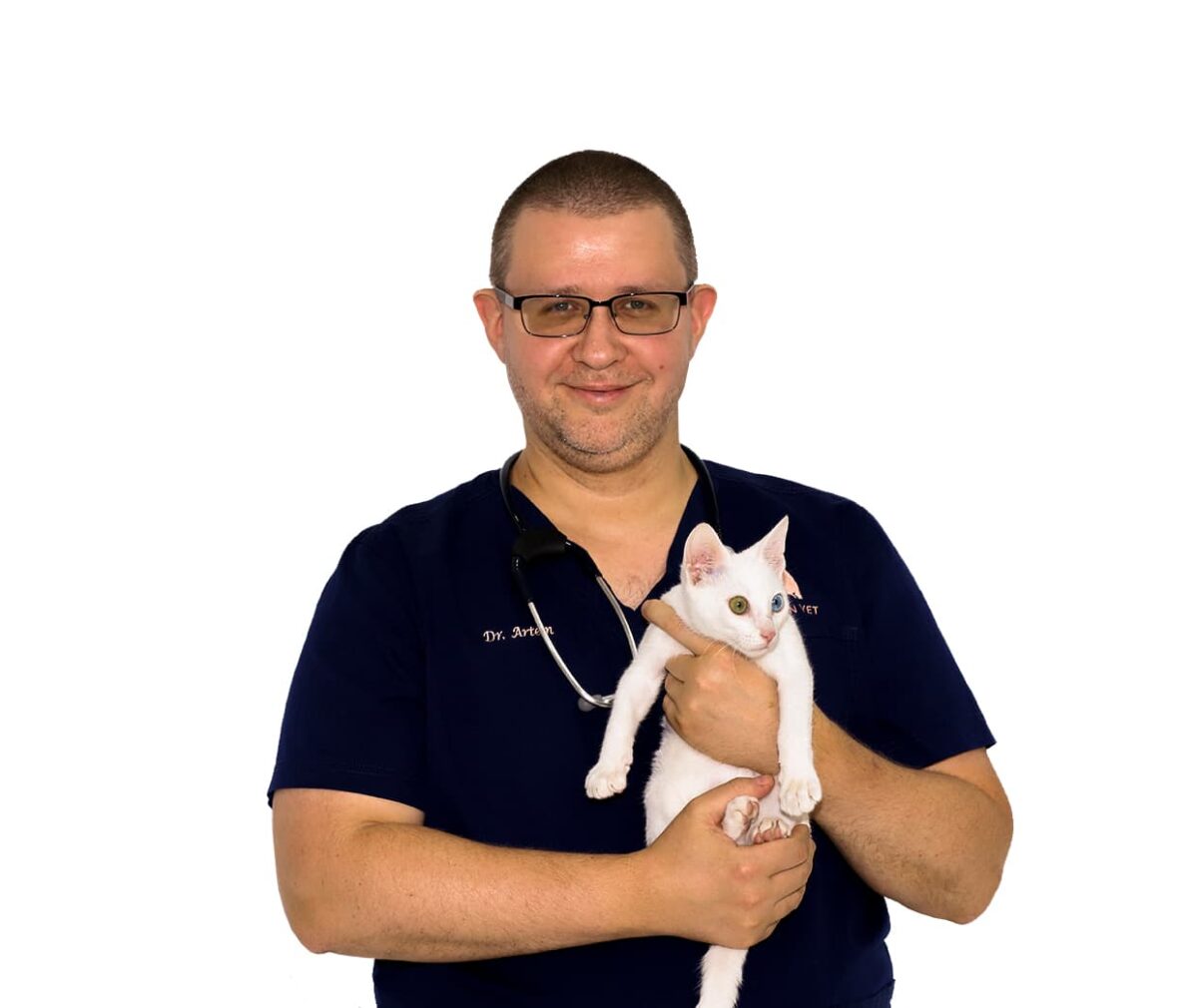 Dr. Artem Pavlyuchenko — Modern Vet