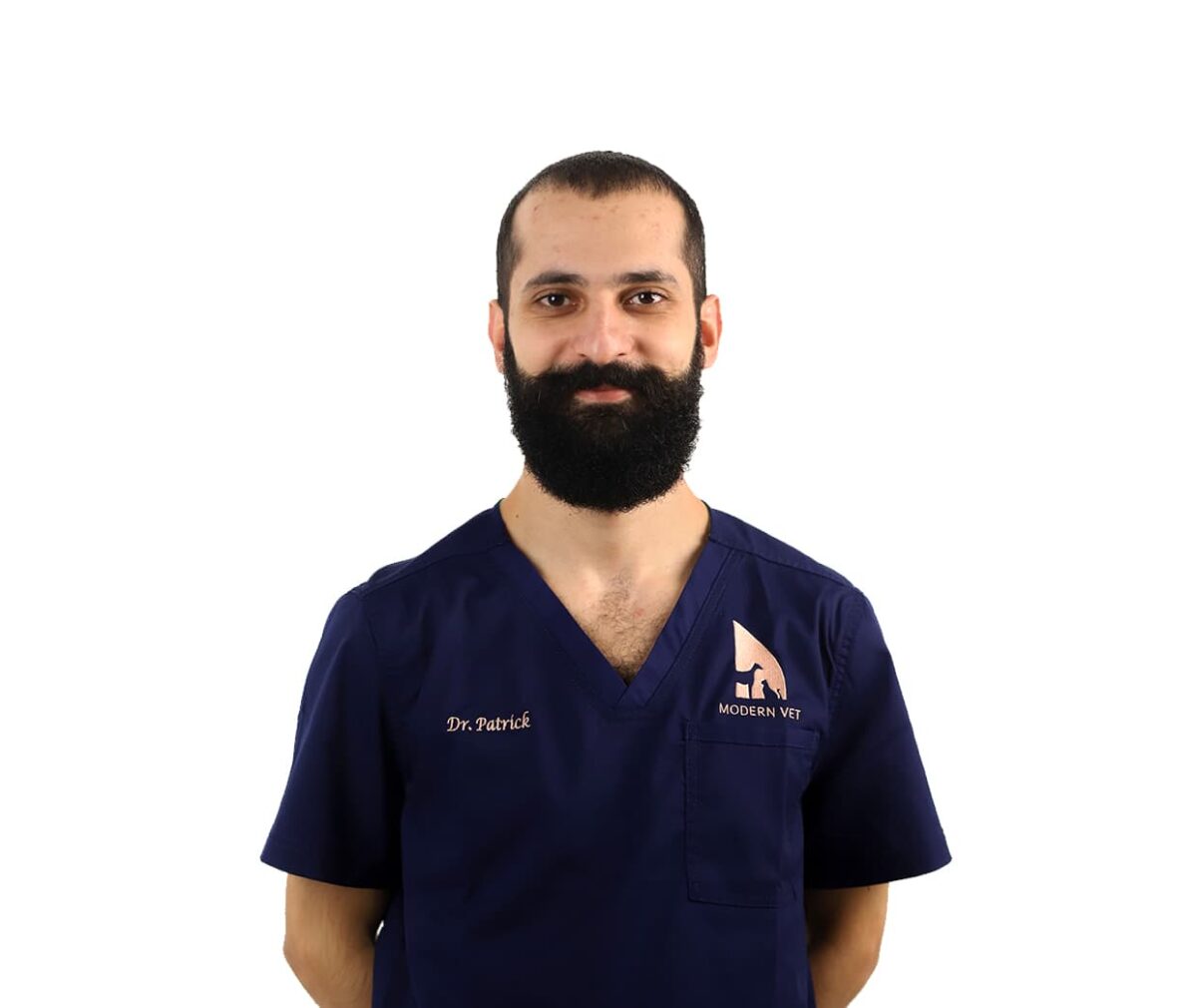 Dr. Patrick Jamous — Modern Vet