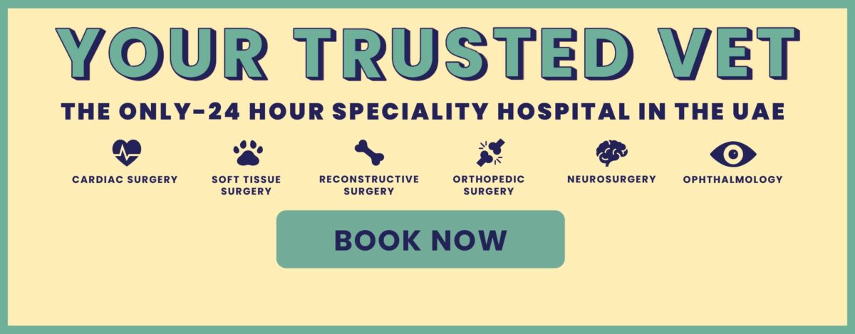 Vet Dubai: Multi-Specialty Veterinary Hospital — Modern Vet