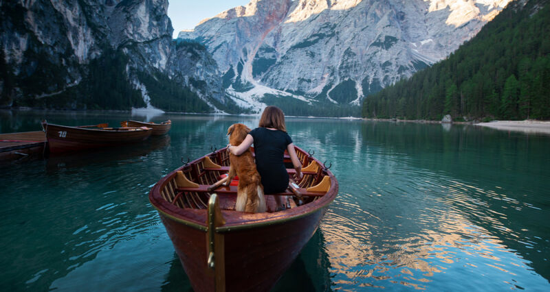 Our Partners — Modern Vet