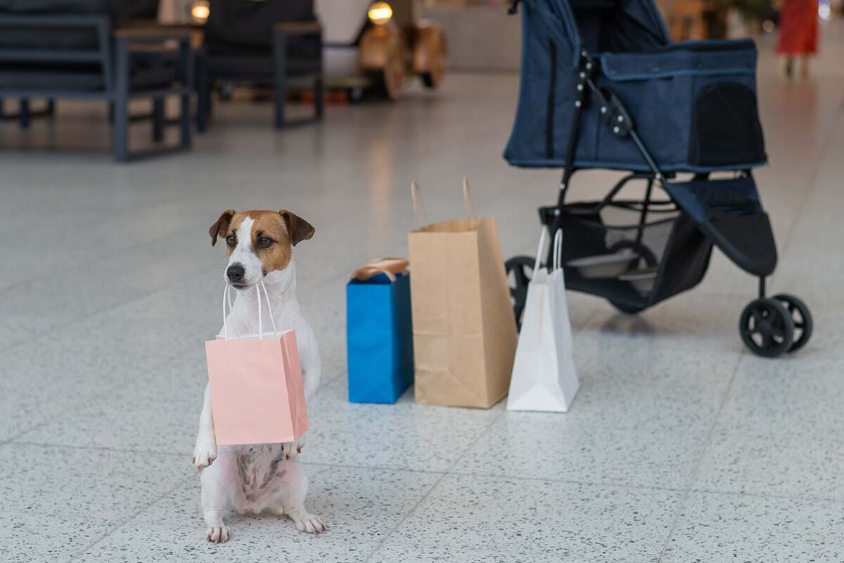 Pet-Friendly Shopping Malls in Palm Jumeirah— Modern Vet